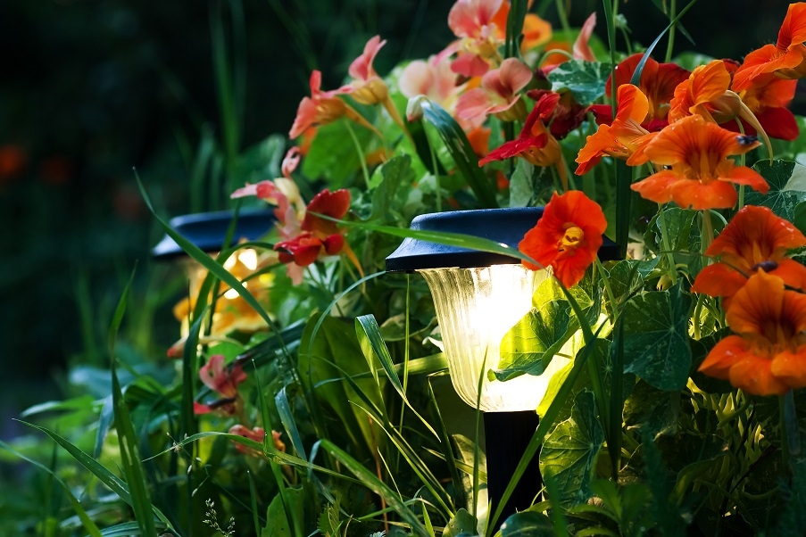 In the Night Garden: Ambient Lighting Options for your Patio